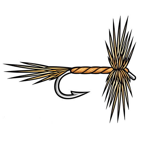 Learn Fly Fishing Basics for Trout, Bass, Pike and More