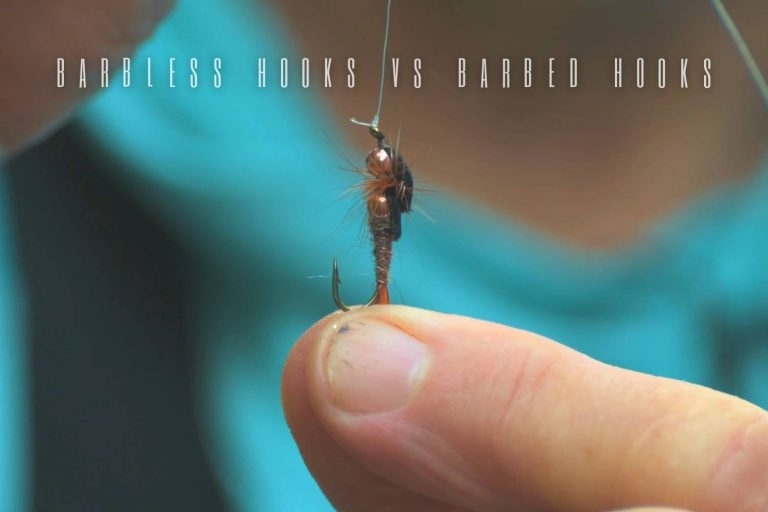 Barbless Hooks vs. Barbed Hooks - A Complete Analysis