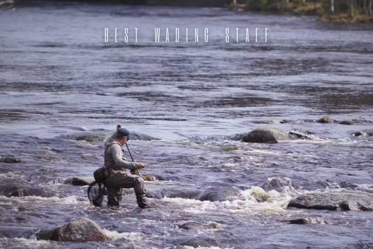 The 5 Best Wading Staffs in 2025 - Buyers Guide