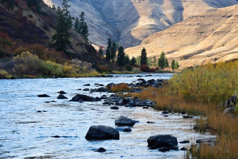 Best Trout Fly Fishing in Washington (Maps, Shops, Guides and Flies for ...