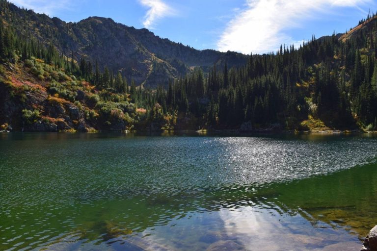 Best Trout Fly Fishing in Washington (Maps, Shops, Guides and Flies for ...