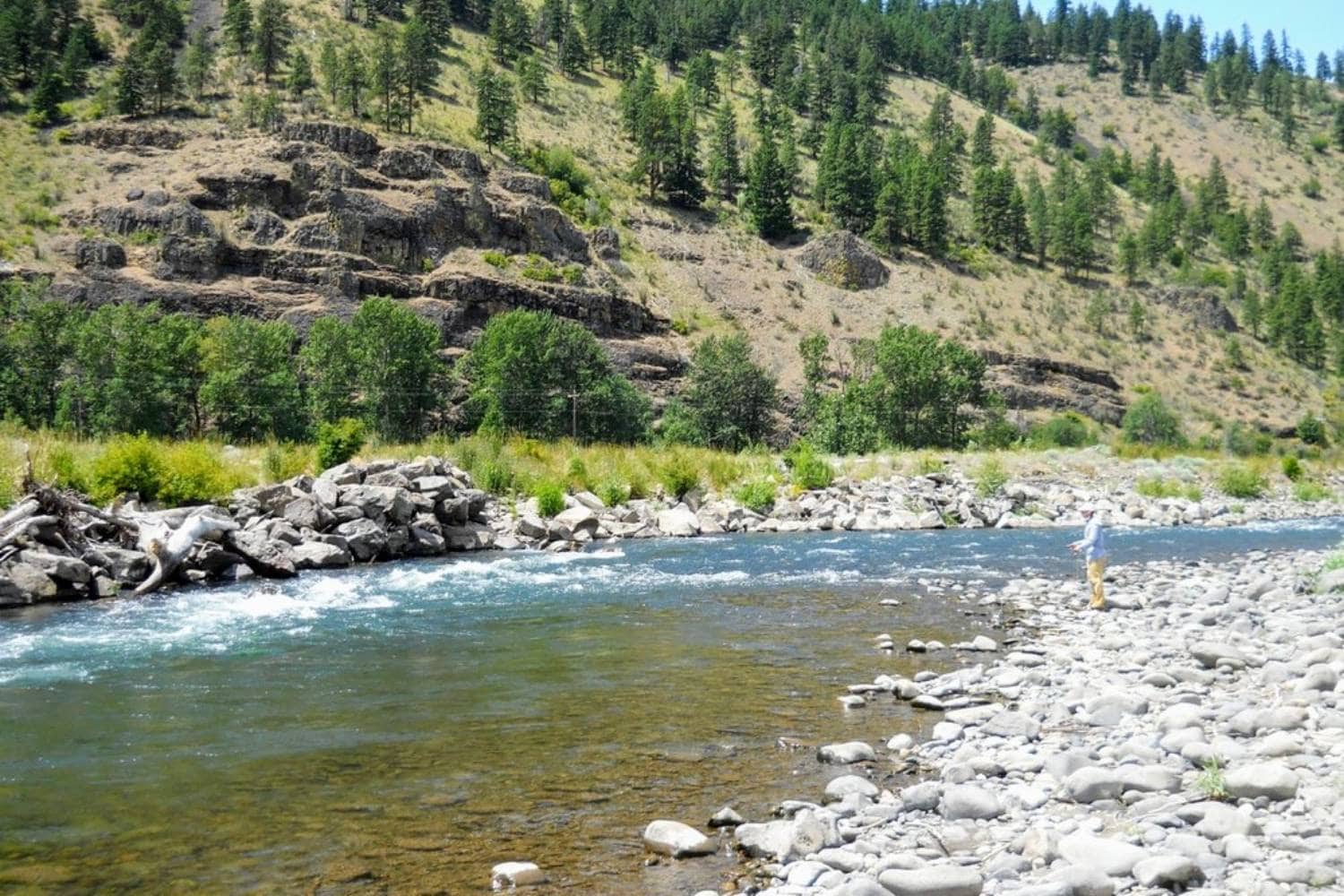 Best Trout Fly Fishing in Washington (Maps, Shops, Guides and Flies for ...