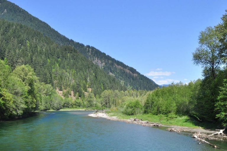 Best Trout Fly Fishing in Washington (Maps, Shops, Guides and Flies for ...