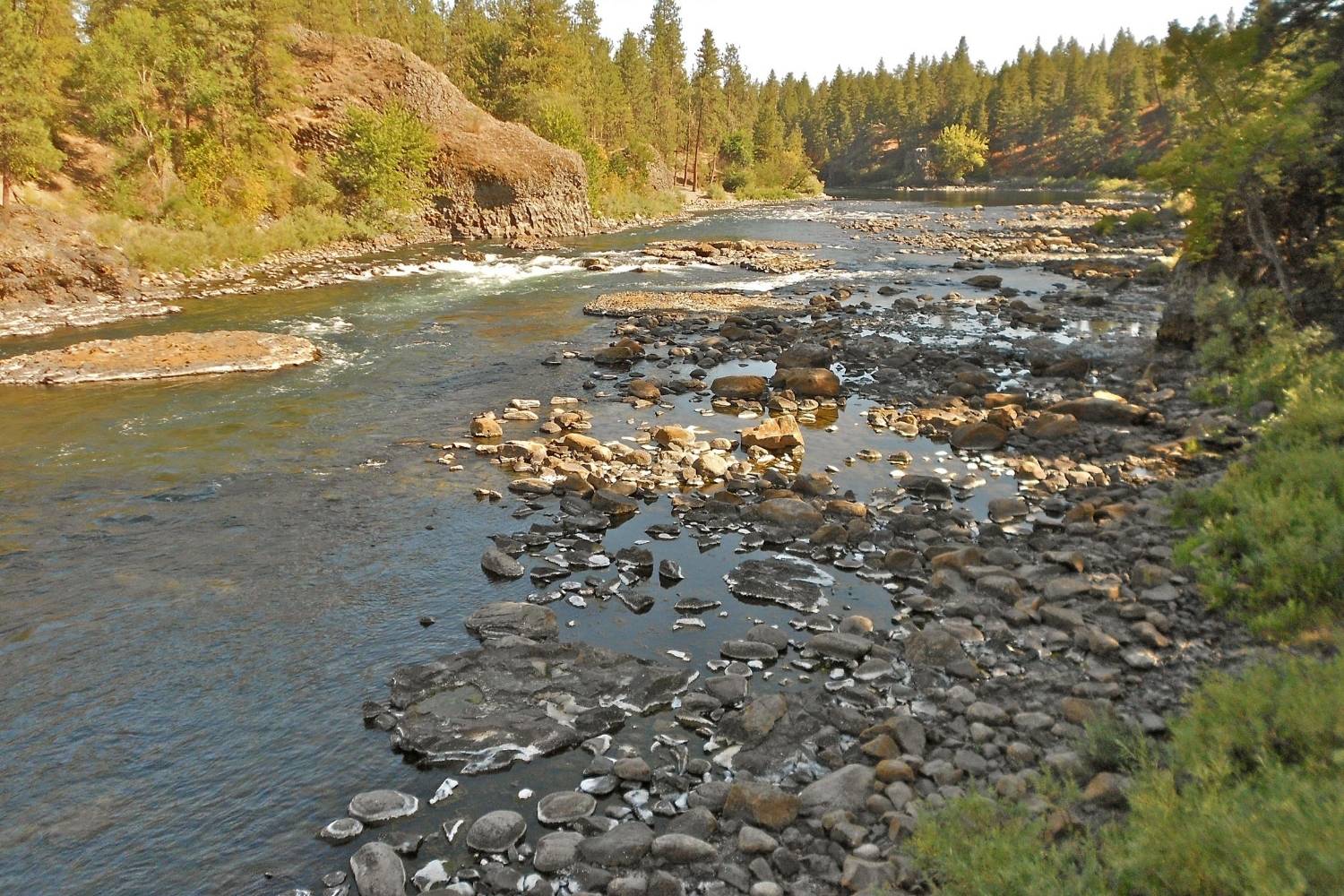 Best Trout Fly Fishing In Washington Maps Shops Guides And Flies For Wa State
