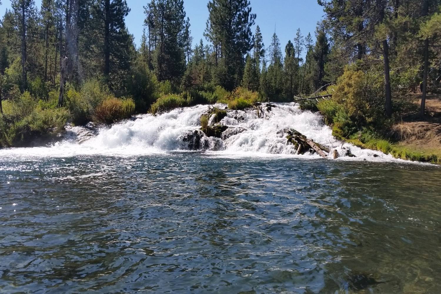 10 Best Locations for Fly Fishing in Oregon - Where to Fish OR