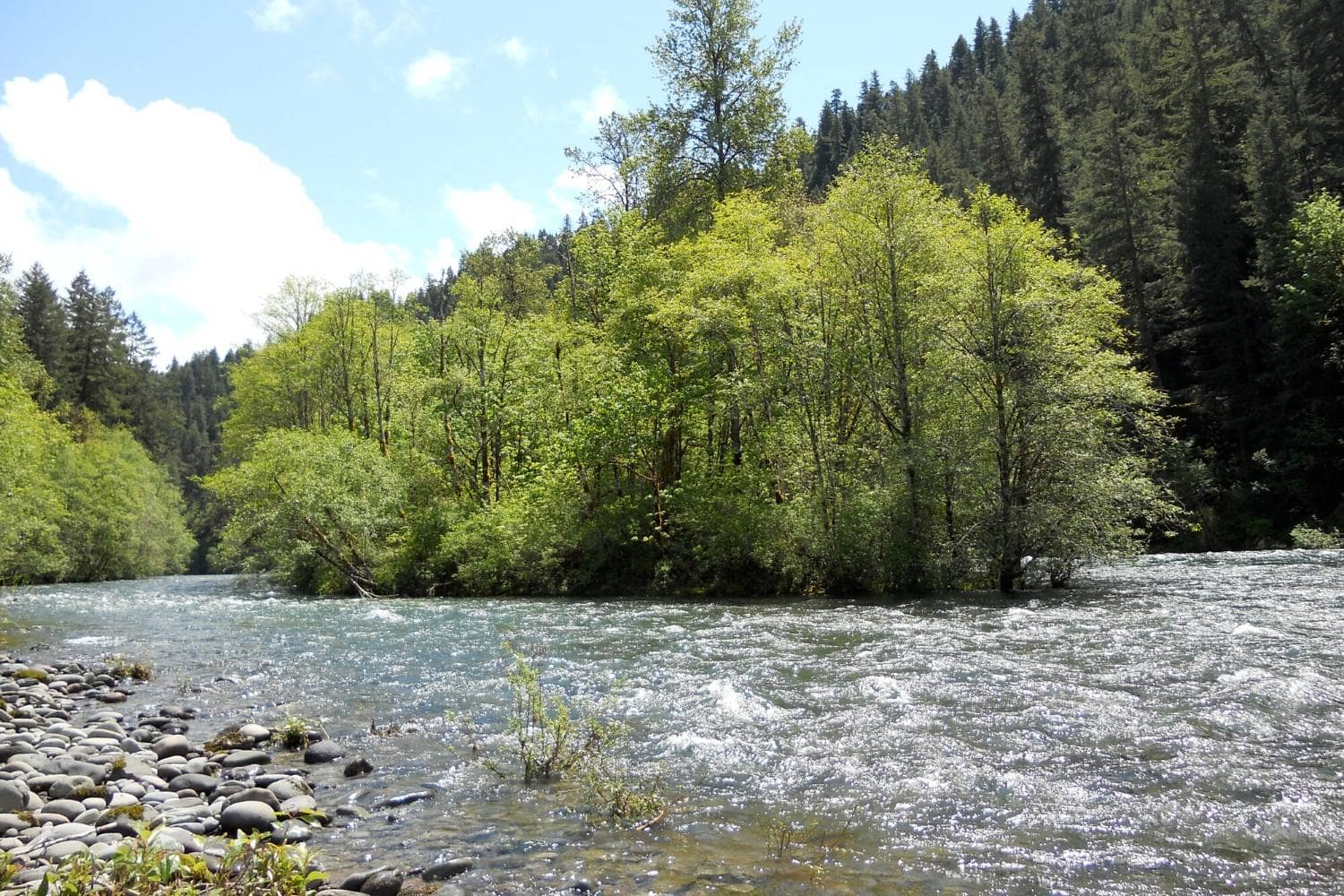 10 Best Locations for Fly Fishing in Oregon - Where to Fish OR
