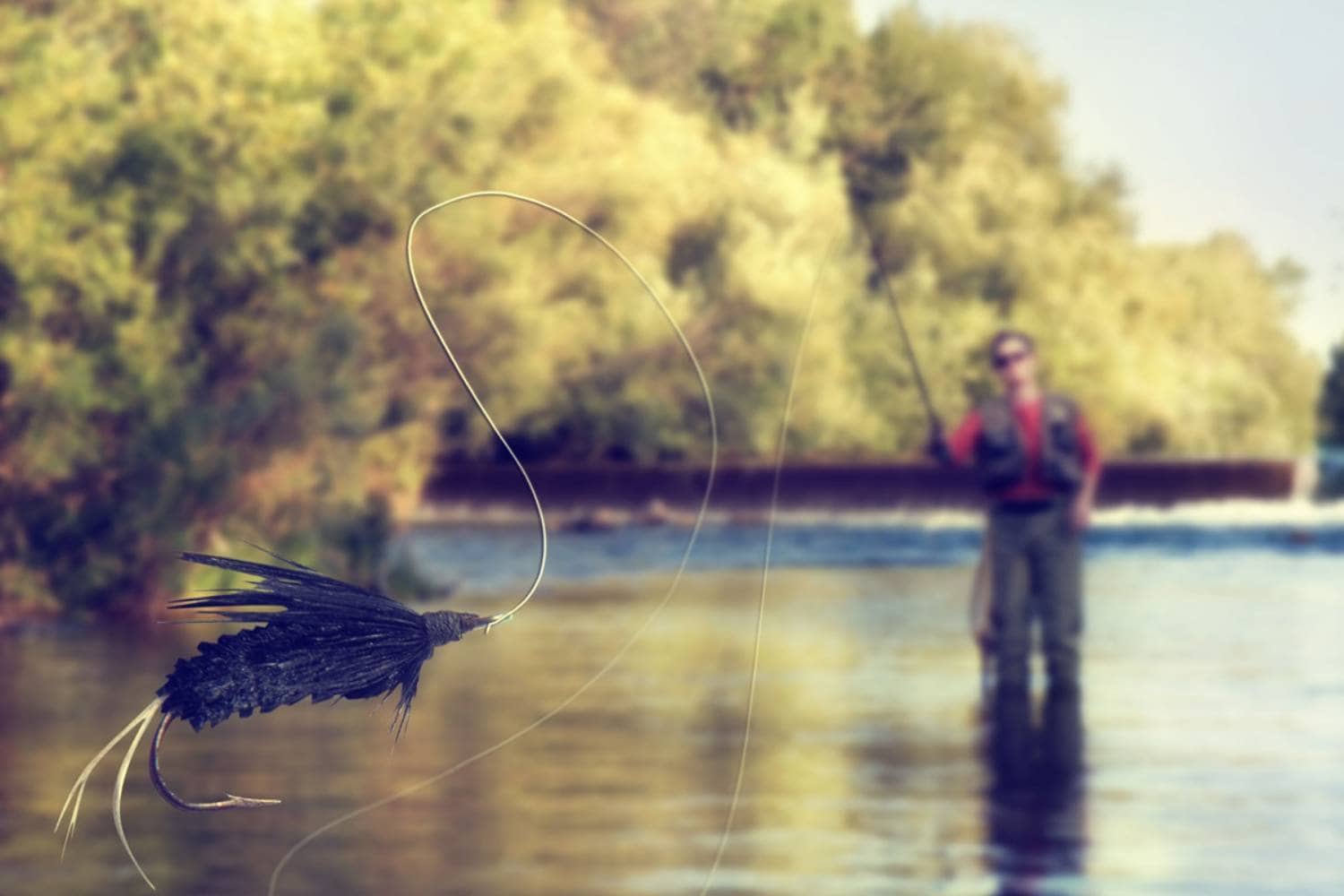 5 Best Places for Fly Fishing in Michigan - Where to Fish MI