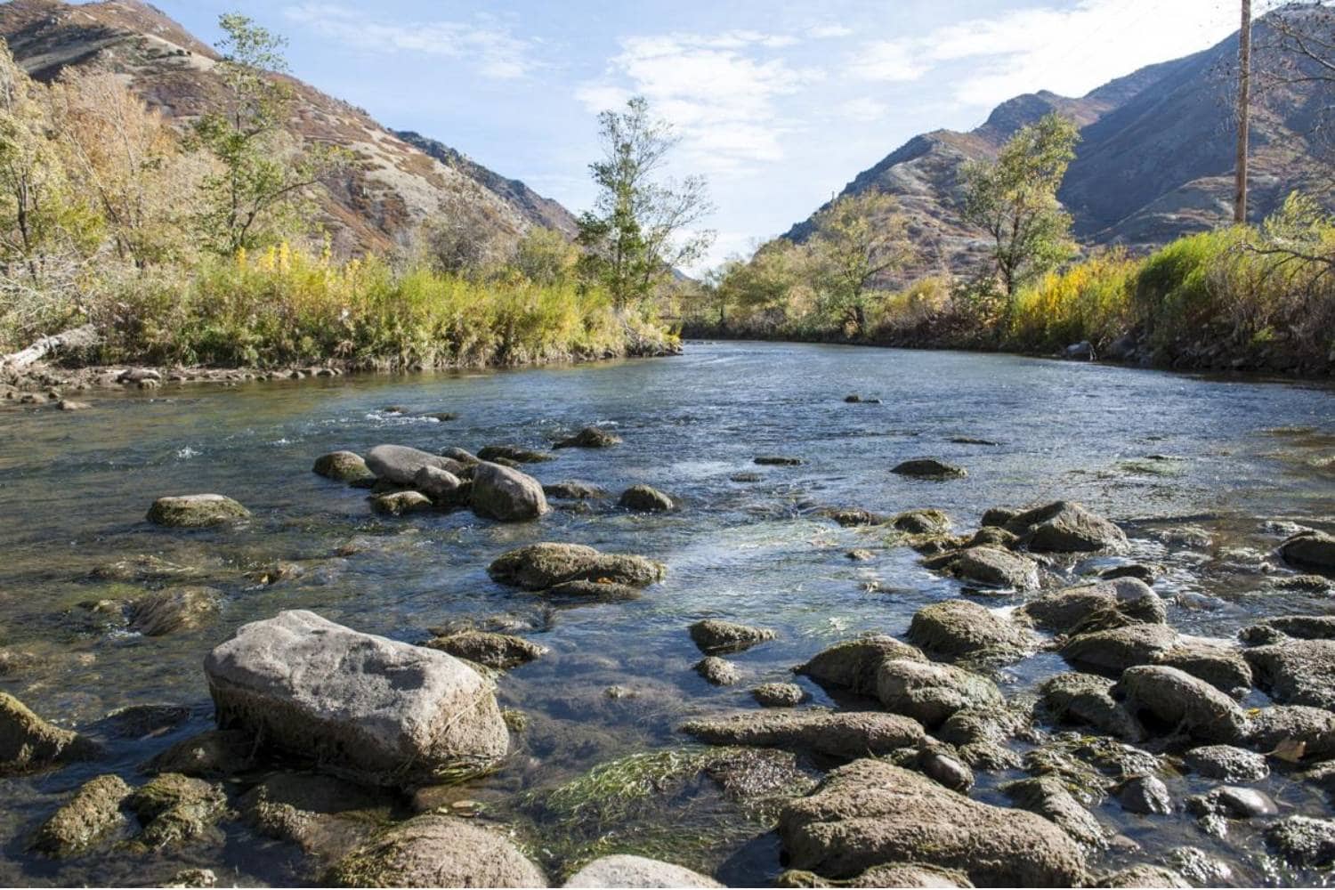 5 Best Places for Fly Fishing Utah - Where to Fish UT