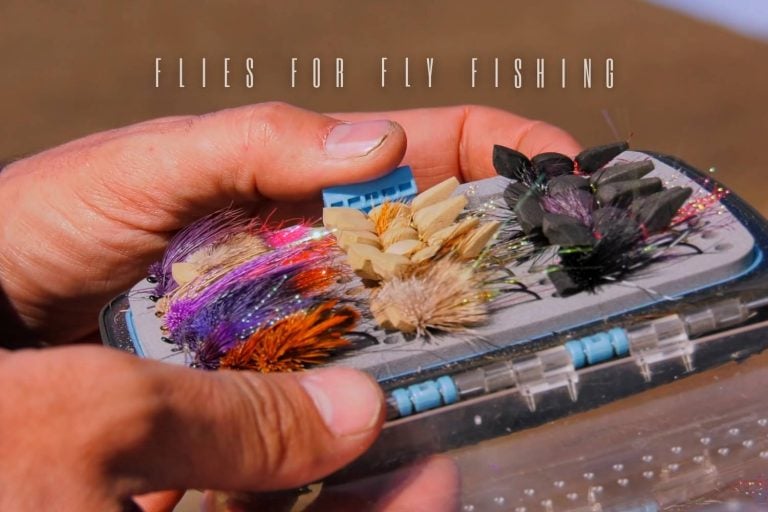 Types of Flies for Fly Fishing (CHOOSE THE RIGHT FLY!)