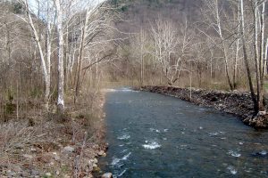 8 Best Places for Fly Fishing in West Virginia - Where to Fish WV