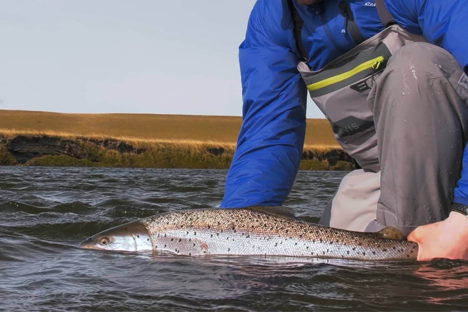 Used Fly Rods For Sale in 2023 - Fly Fisher Pro