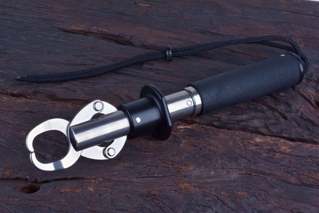 What Is The Best Fish Gripper In 2020? (Updated Models)