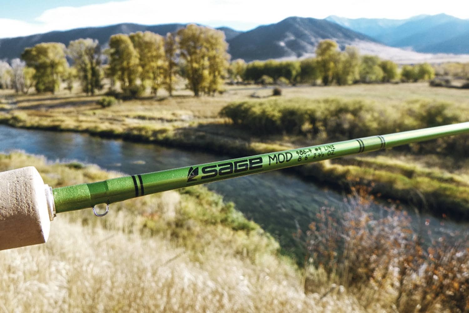 Sage Mod Review in 2024 - Fly Rods