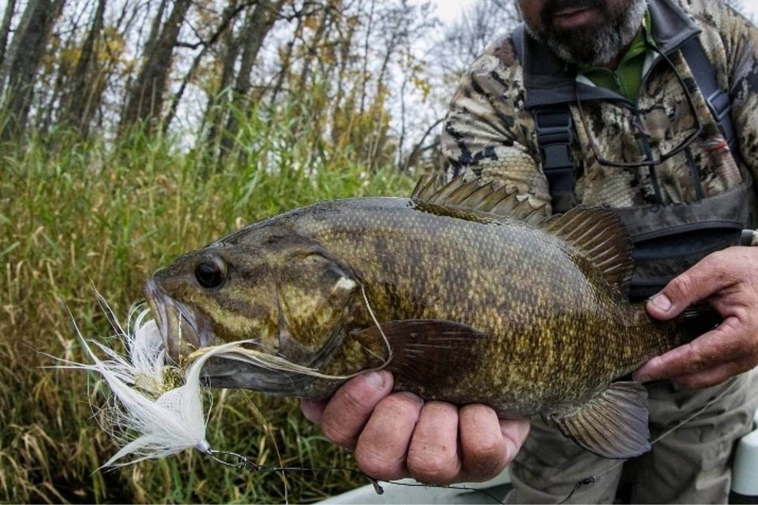 9 Best Places for Fly Fishing Iowa - Where to Fish IA