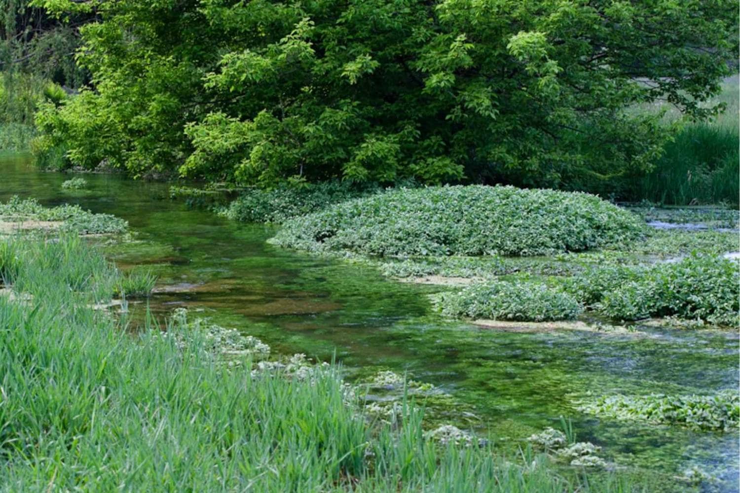 14 Best Places for Fly Fishing in Pennsylvania - Where to Fish PA