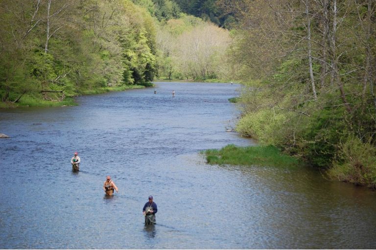 14 Best Places for Fly Fishing in Pennsylvania - Where to Fish PA