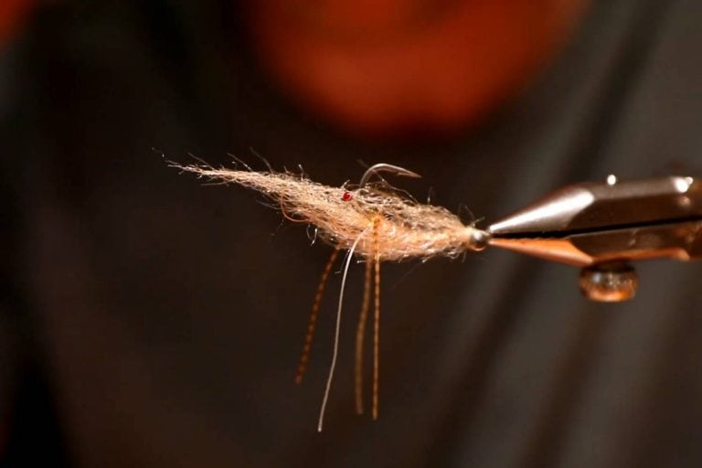 The 10 Best Bonefish Flies - Fly Selection Guide
