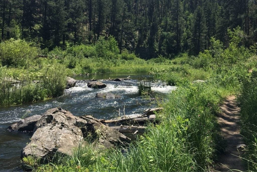 8 Best Places for Fly Fishing South Dakota - Where to Fish SD