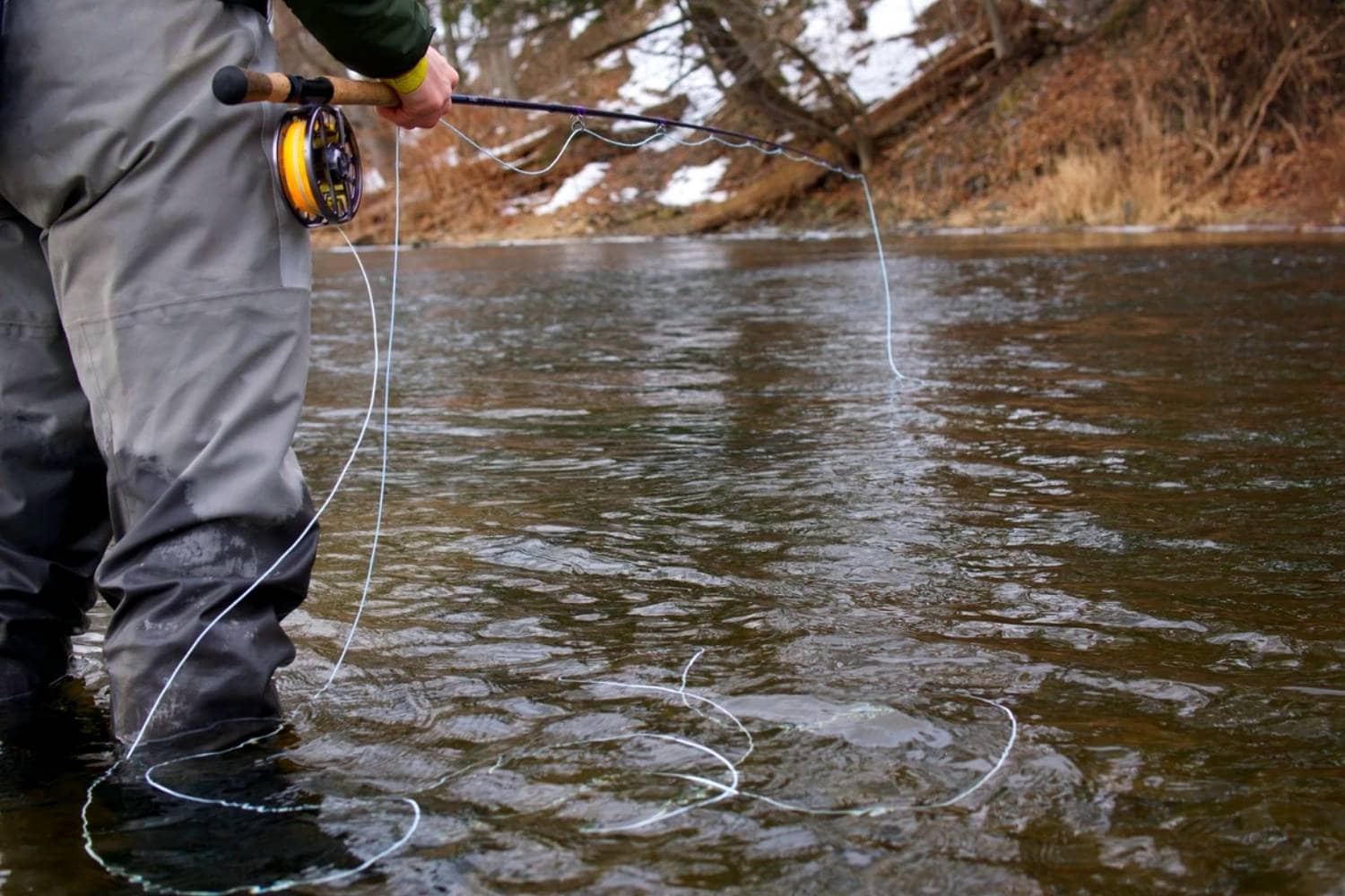 Cortland Fly Line Review and Recommendations - Fly Fisher Pro