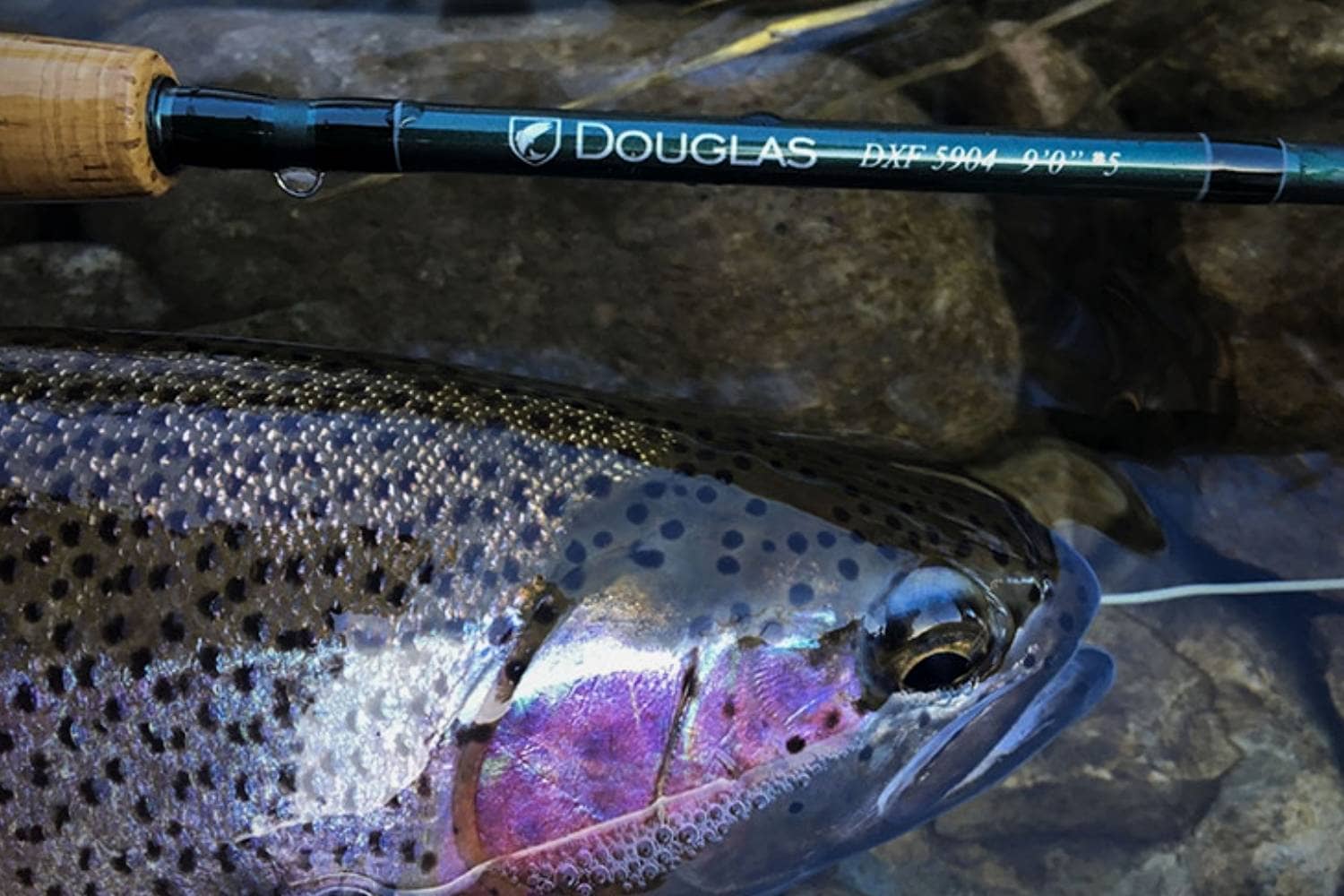 Douglas DXF Review in 2026 - Fly Rods
