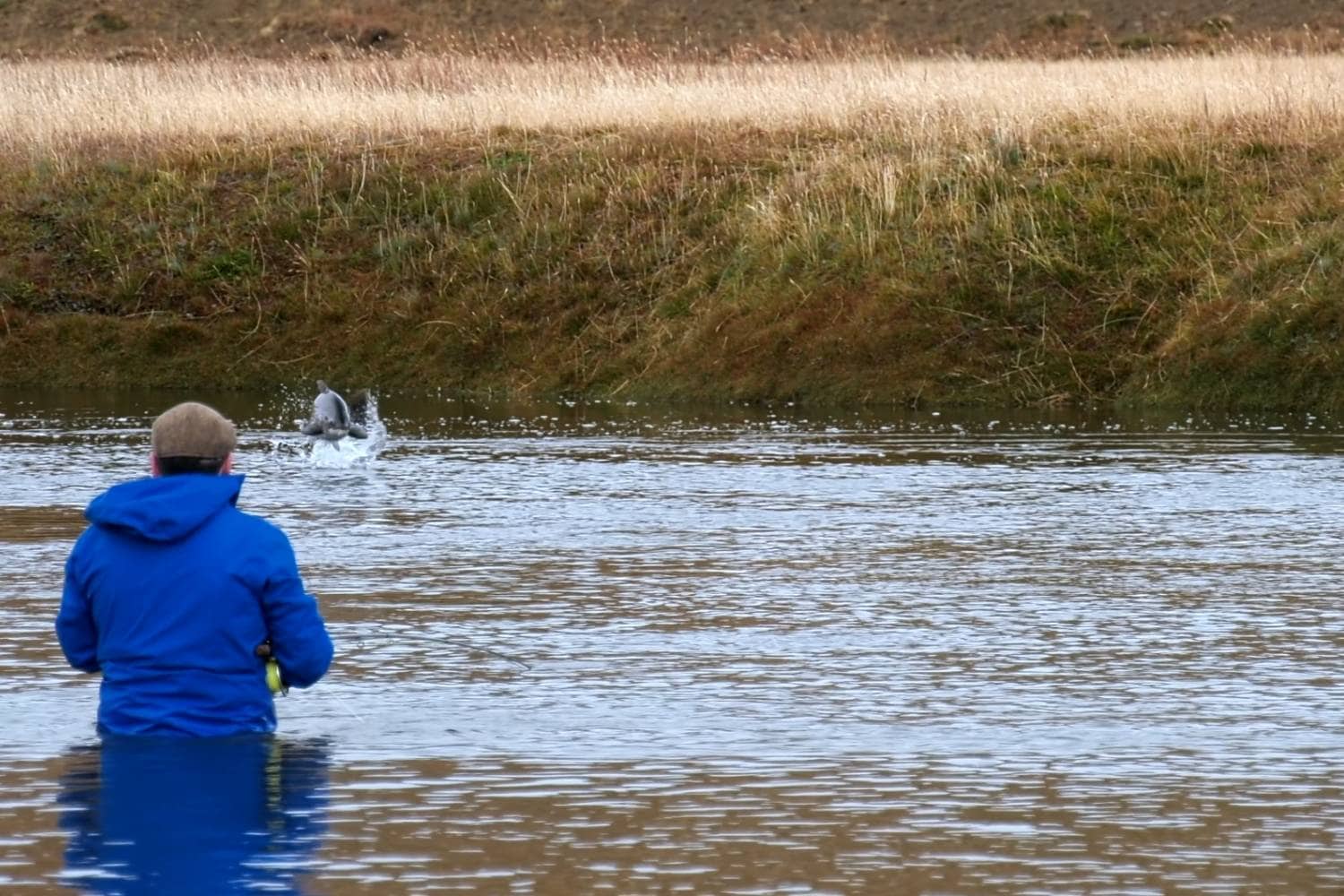 Fly Fishing Basics - A Complete Guide for Beginners