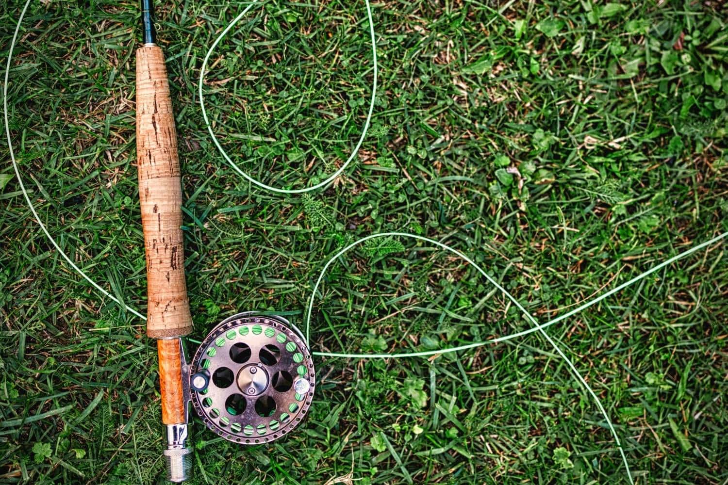 World Record Largemouth Bass - Fly Fisher Pro