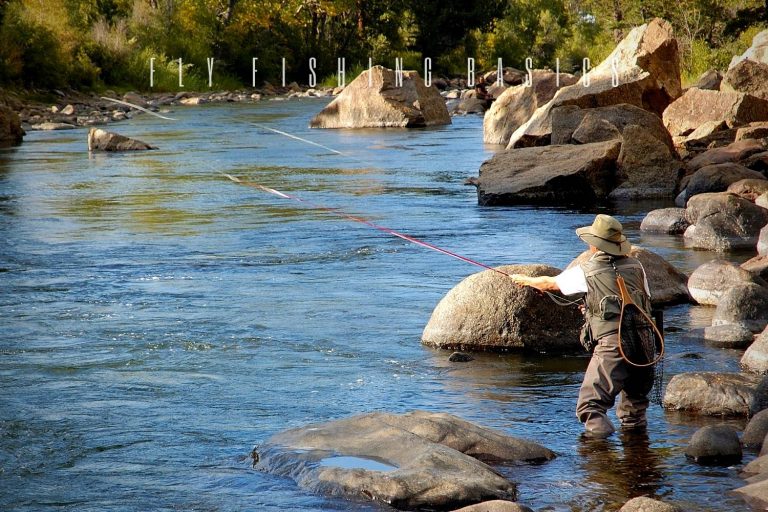 Fly Fishing Basics - A Complete Guide for Beginners