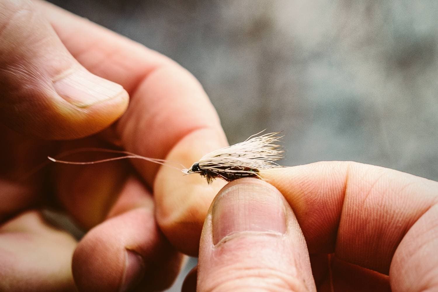 The Ultimate Guide to Fly Fishing for Carp in 2022