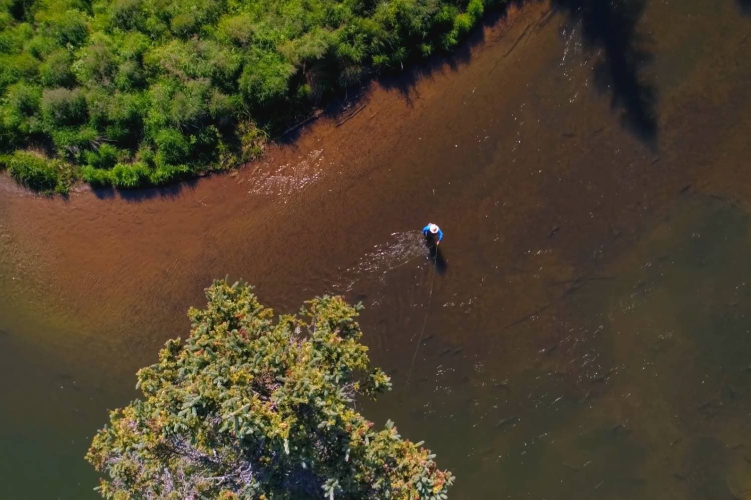 Fly Fishing With a Mouse Pattern