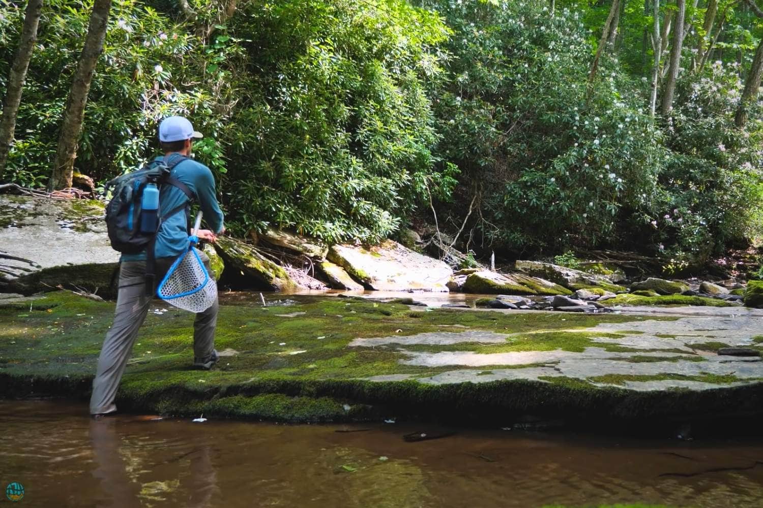 Reasons Why You're Not Catching Fish when Fly Fishing