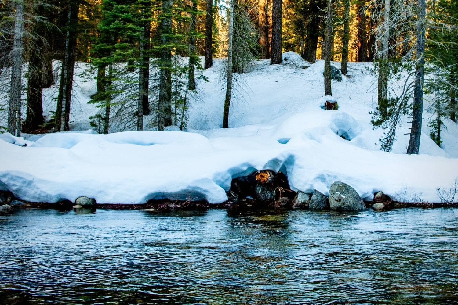 Proven Winter Dry Fly Patterns