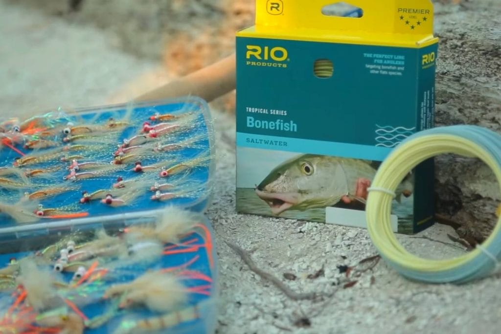 The 3 Best Fly Lines for Bonefish in 2025 - Buyers Guide