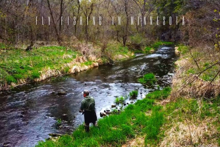 7 Best Places for Fly Fishing in Minnesota - Where to Fish MN