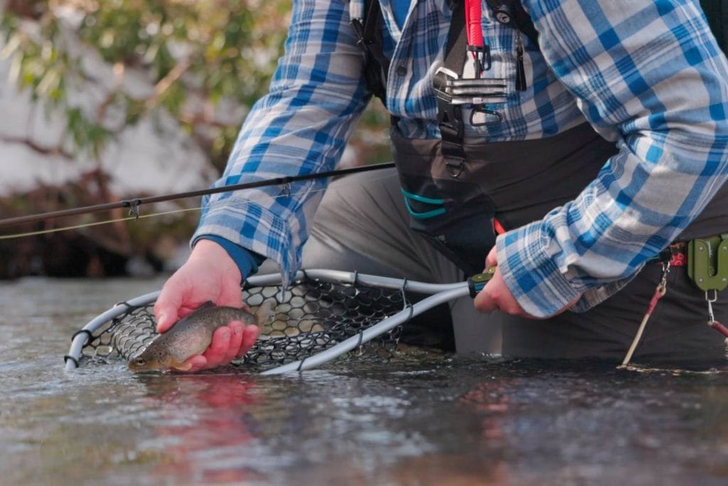 The 5 Best Fly Fishing Nets in 2022- Buyers Guide