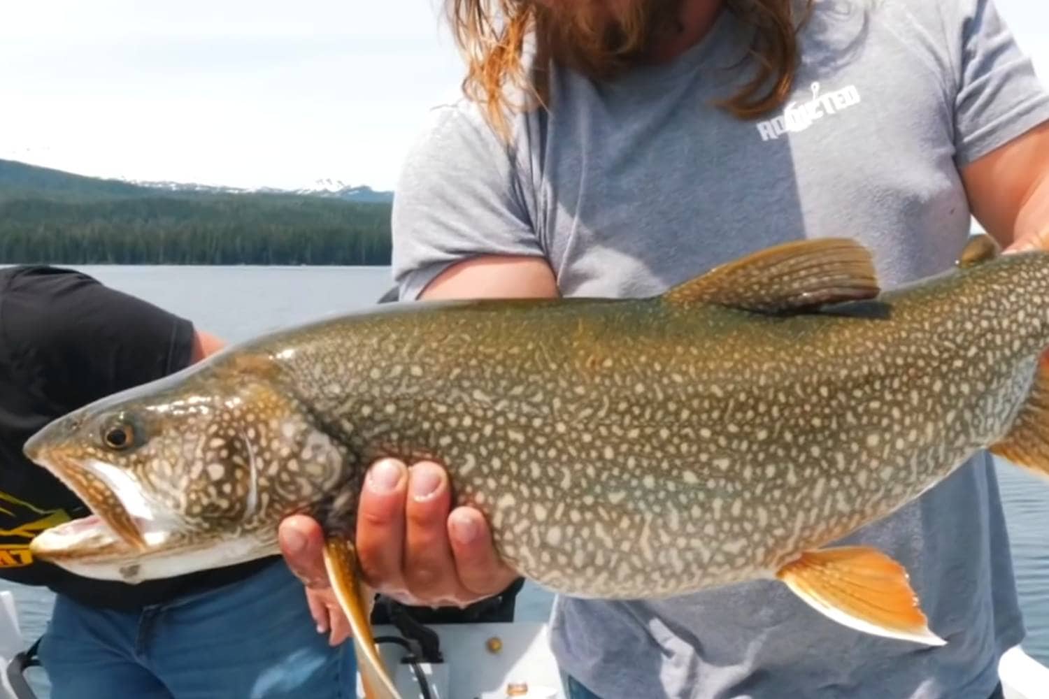 What Is The World Record Lake Trout?