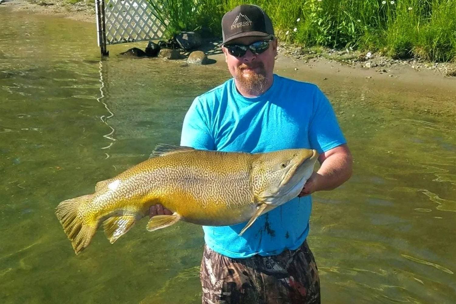 What Is The World Record Tiger Trout?