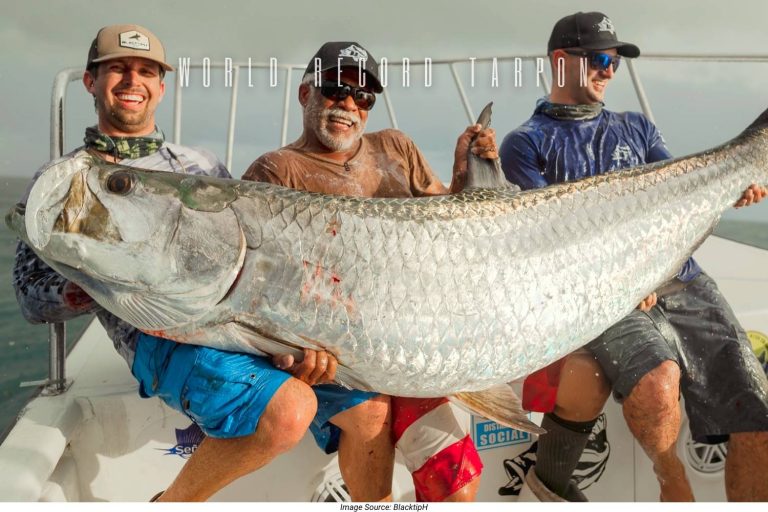 World Record Fish - Fly Fisher Pro