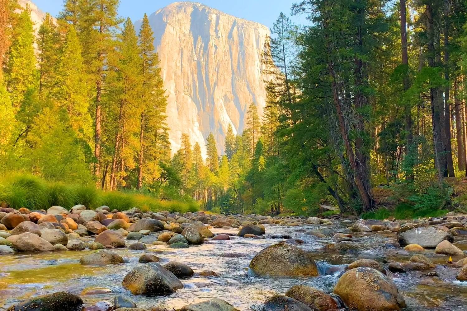 12 Best Fly Fishing Destinations in California