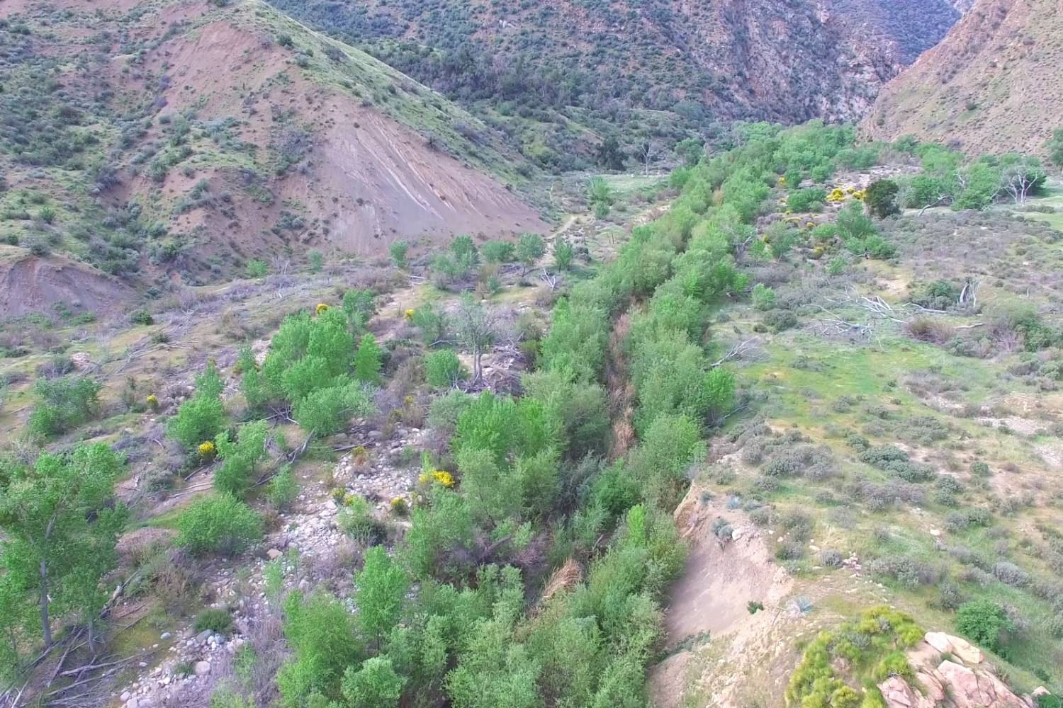 12 Best Places for Fly Fishing California (Maps Included)