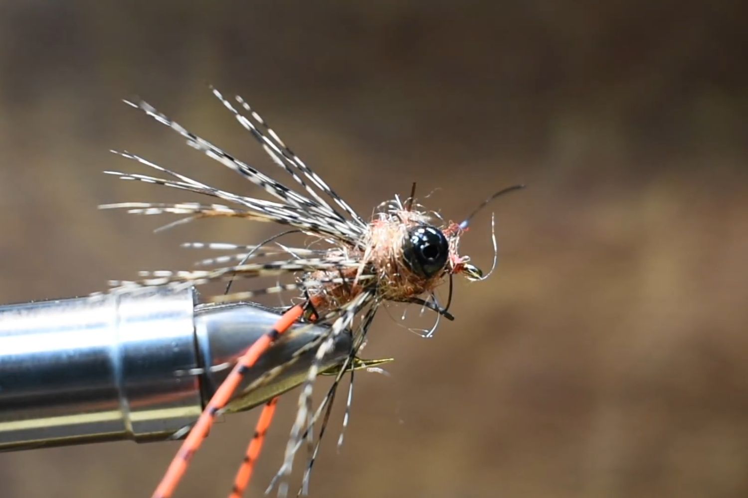 Best Carp Flies - Fly Selection Guide