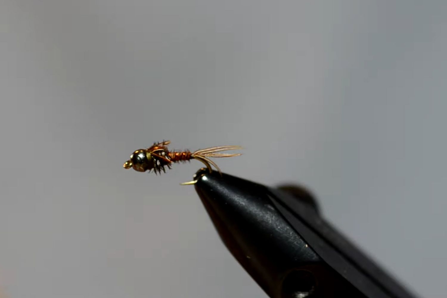 24 Best Trout Flies for All Season Fly Fishing