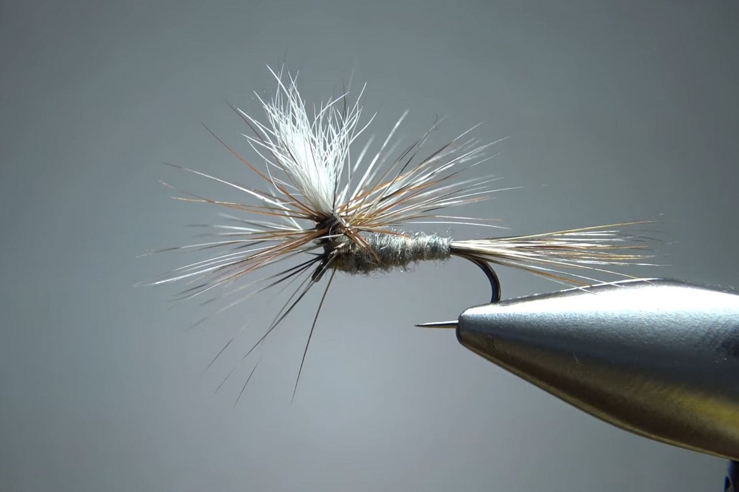 24 Best Trout Flies for All Season Fly Fishing