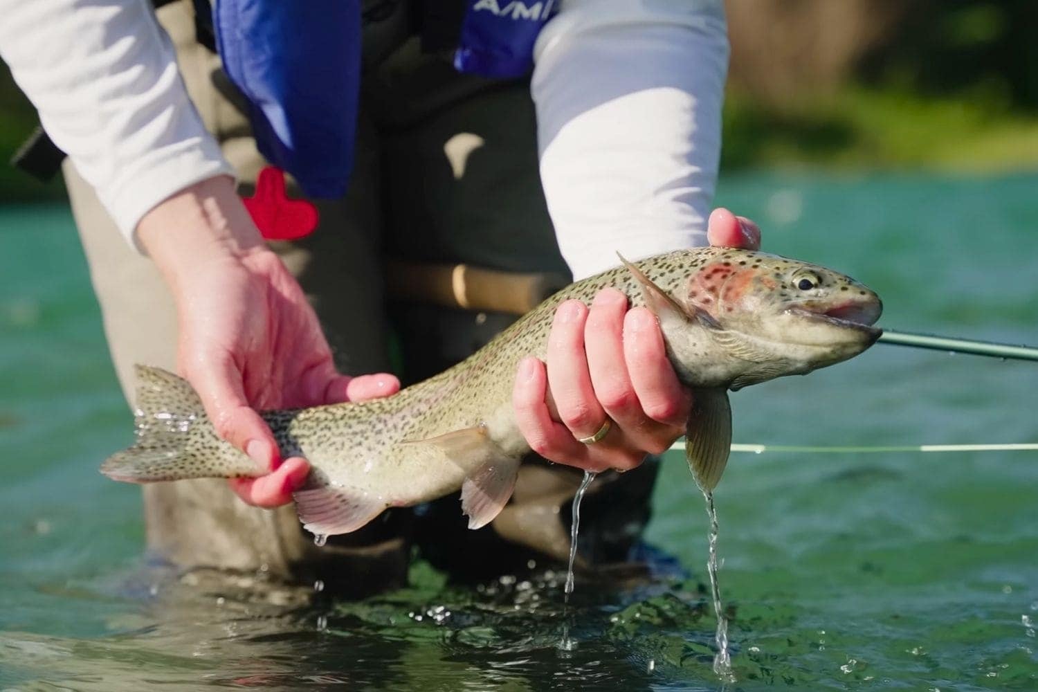 Fly Fishing and Habitat Conservation: Protecting Ecosystems for Future ...